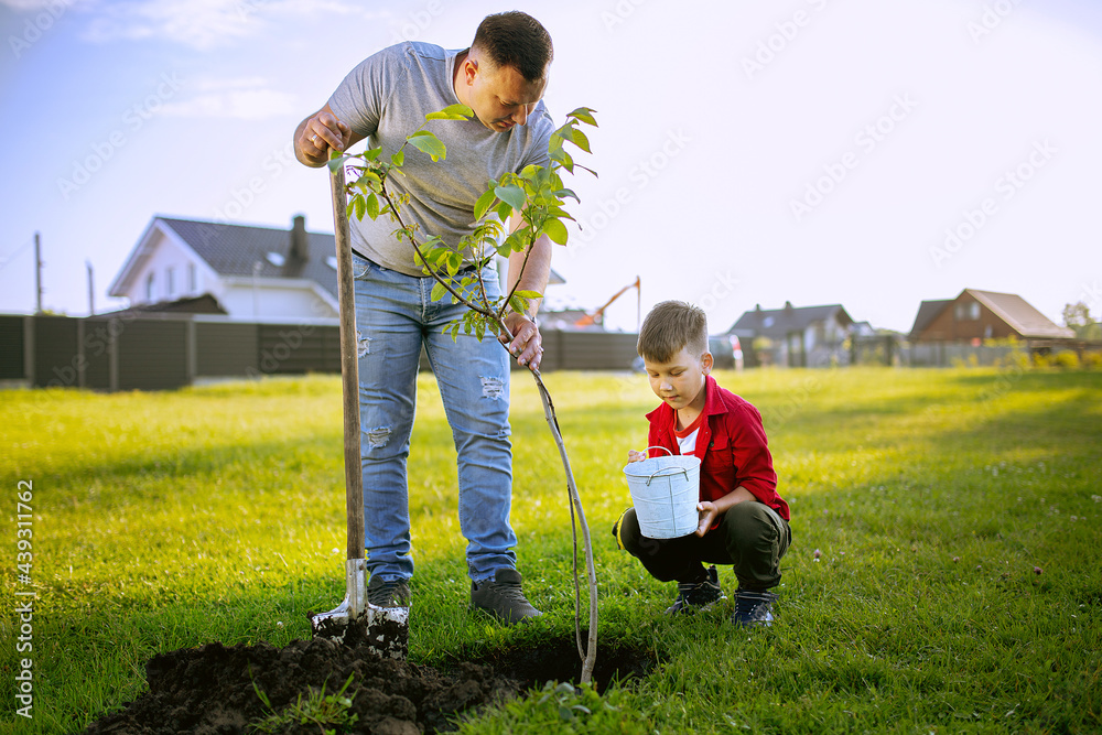 father looking how son planting tree with shovel at front of house ...