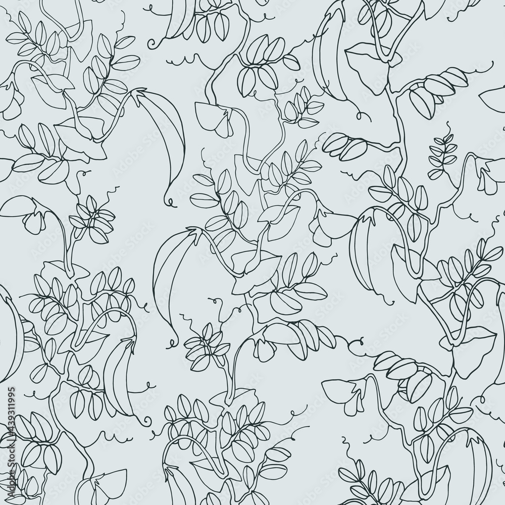 Seamless repeating pattern. Pea plant with pods and flowers. Monochrome ...