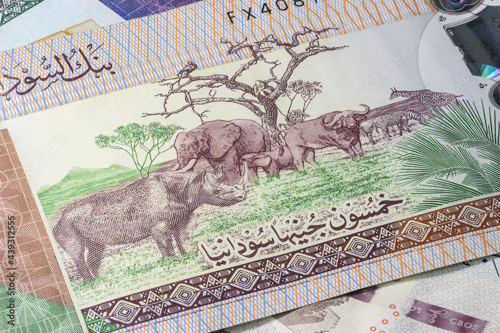 Close up to fifty pounds of the Republic of Sudan. Paper banknotes of ...