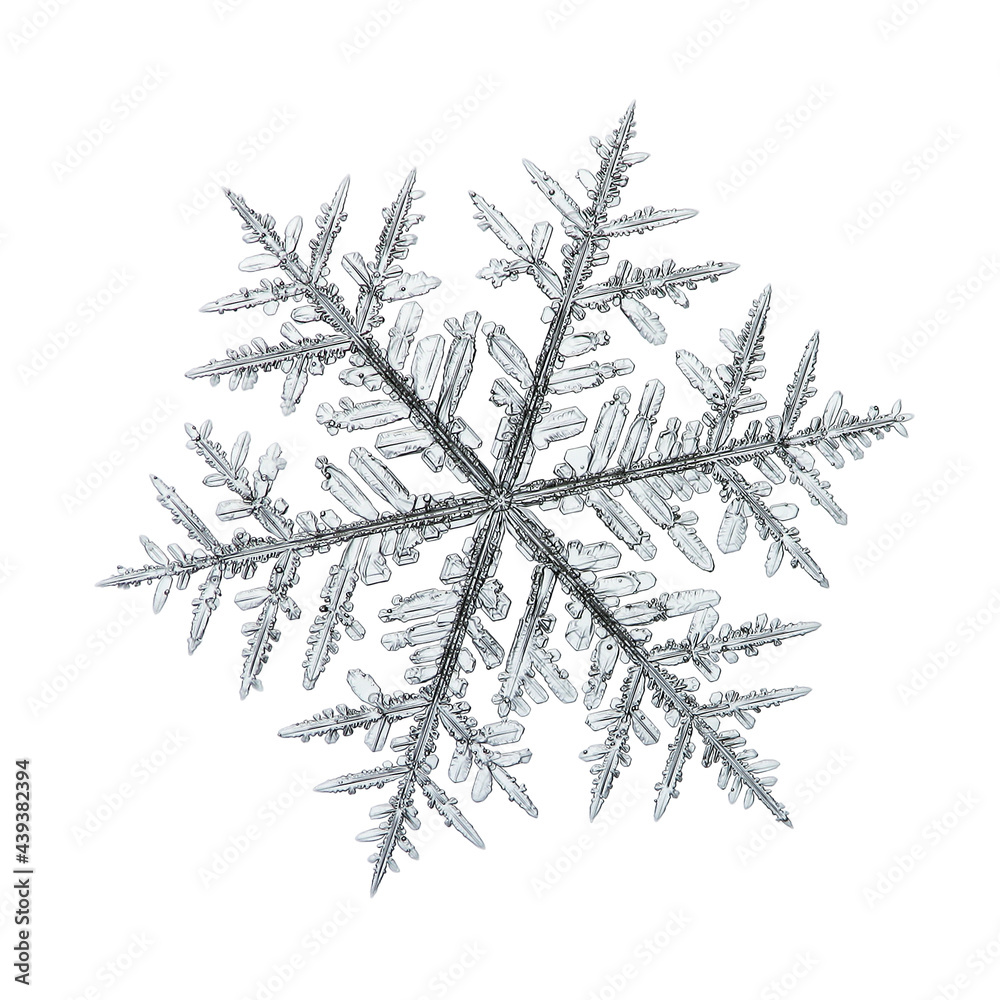 Snowflake isolated on white background. Macro photo of real snow ...