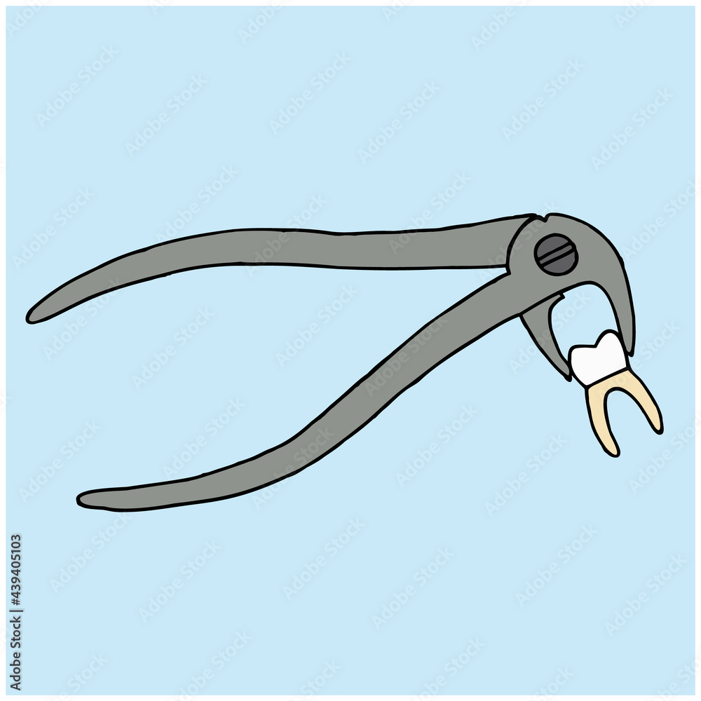 Dental forceps for the lower jaw, in the forceps is a removed tooth on ...