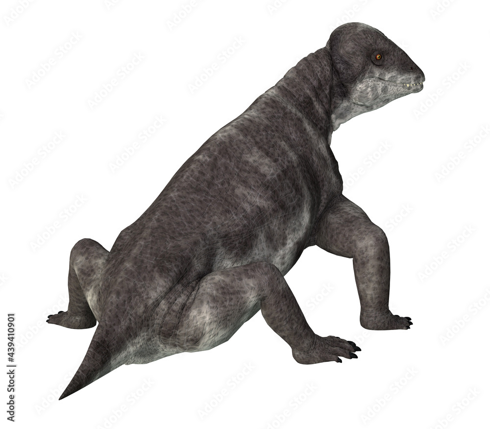 Criocephalosaurus Dinosaur Tail - Criocephalosaurus was a therapsid ...