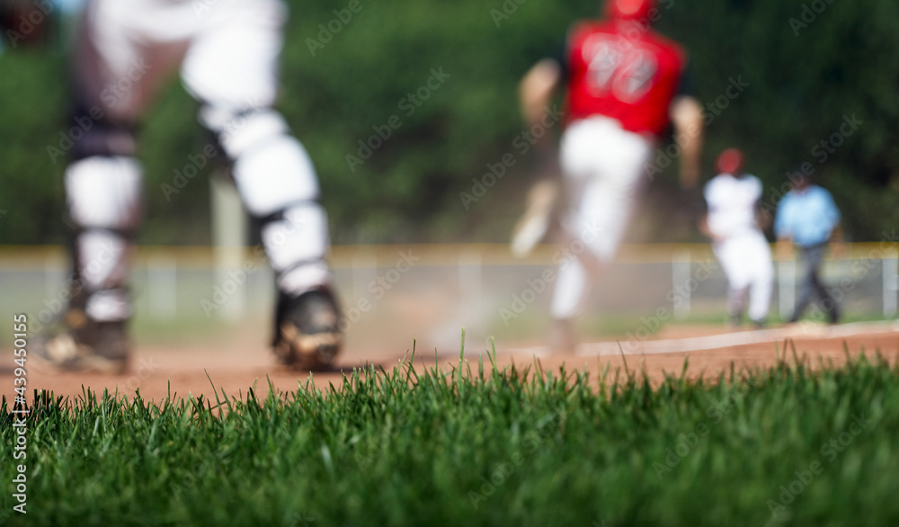 Baseball Stock Photo | Adobe Stock