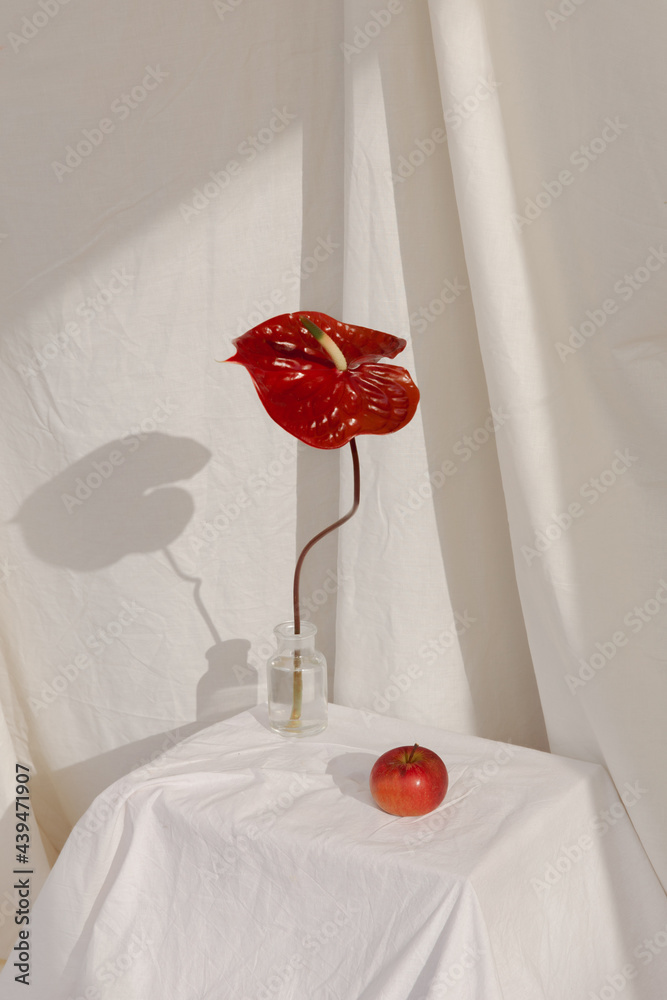 red still life. Stock Photo | Adobe Stock