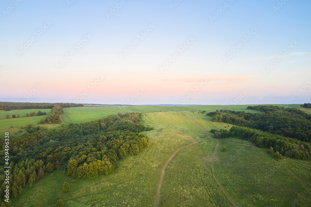 Foto de Forested flat terrain with winding dirt roads in the rays of ...