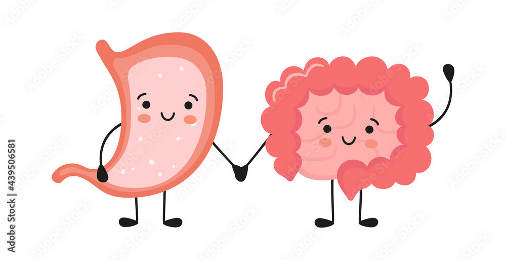 Healthy happy smiling stomach and intestine characters hold hands ...