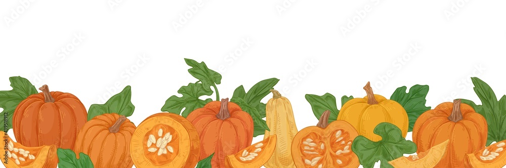 Autumn hand-drawn border with pumpkins, gourds and leaves. Fall orange ...
