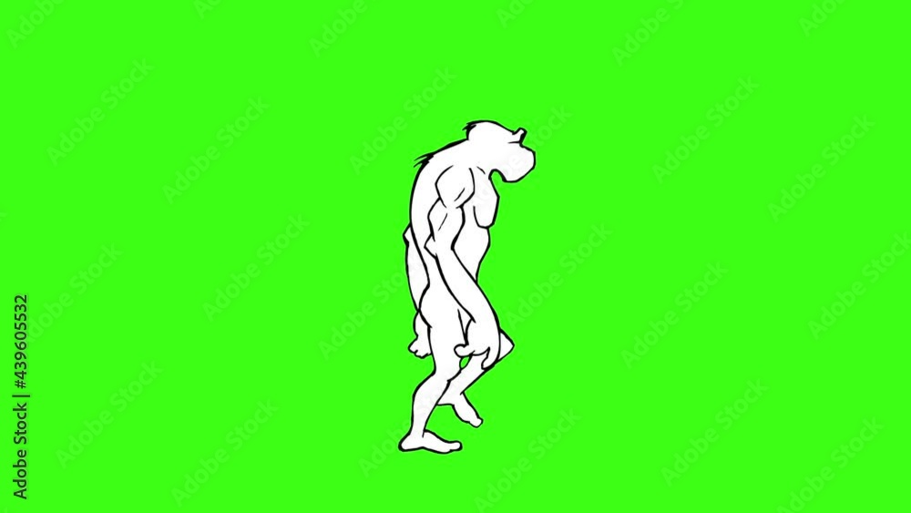 Human Evolution Hand drawn animation. Monkey, Neanderthal, Primate and ...