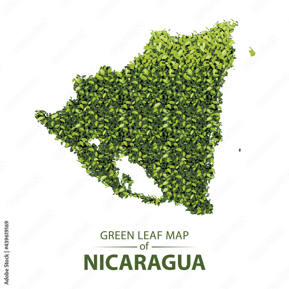 Green leaf map of Nicaragua vector illustration of a forest is concept ...