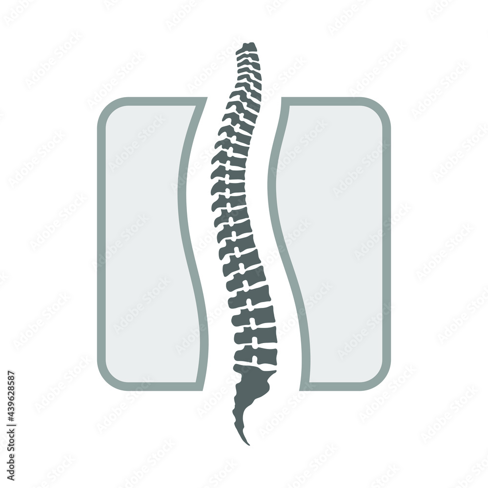Spine human graphic icon. Spinal column sign isolated on white ...