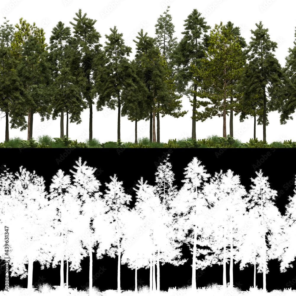 3D Render of Horizon Pine Trees Line in 4K available for loop. Tileable ...