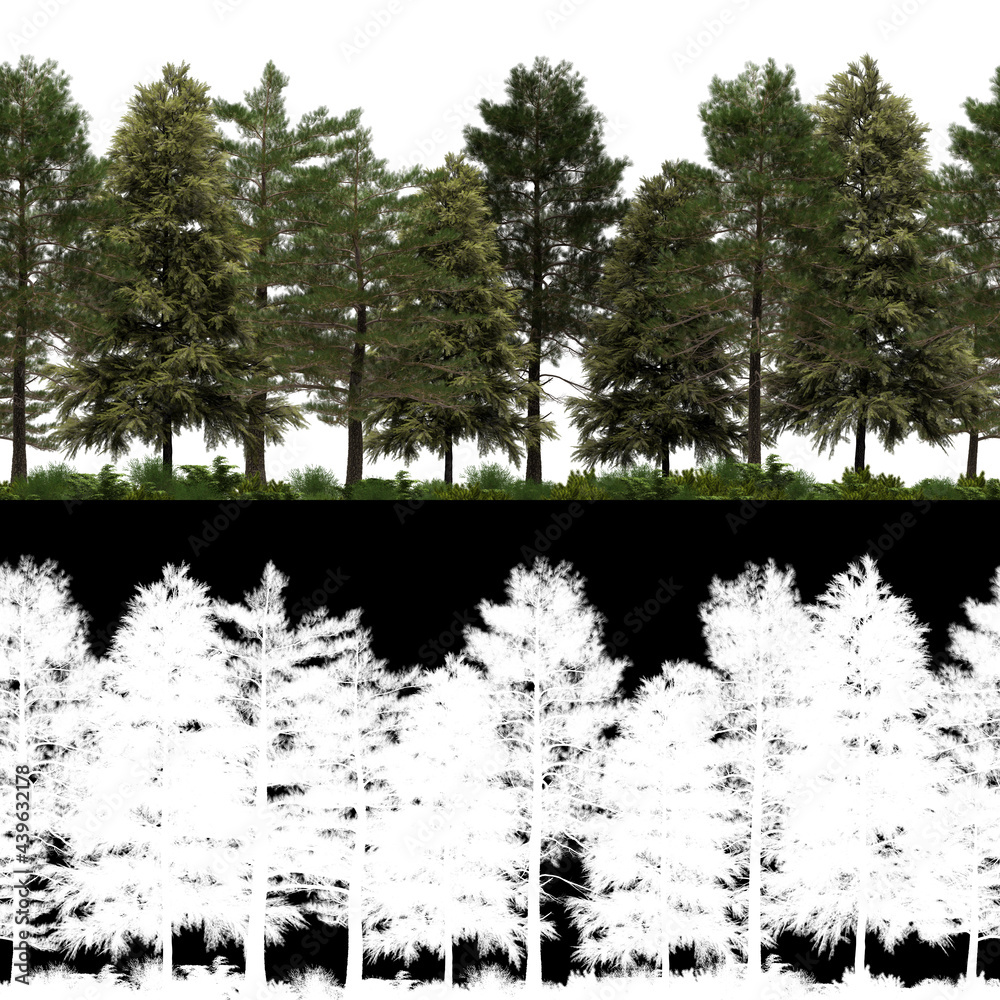 3D Render of Horizon Pine Trees Line in 4K available for loop. Tileable ...