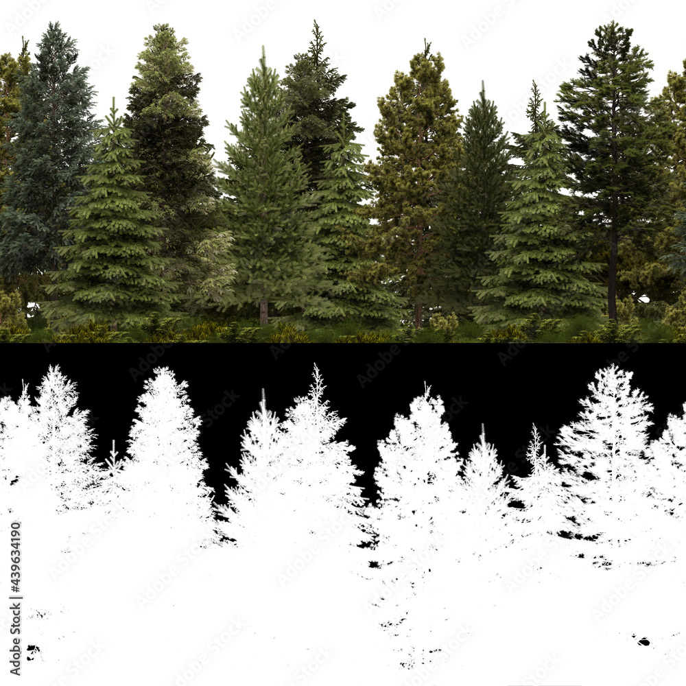 3D Render of Horizon Pine Trees Line in 4K available for loop. Tileable ...