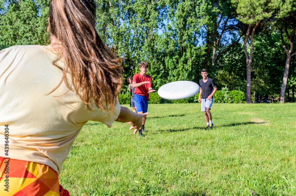 Group of friends have fun play at flying disc in the park in summer ...