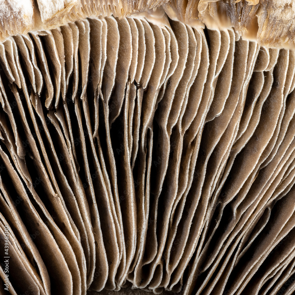 Most popular royalty-free city patterns and pattern image collections ...