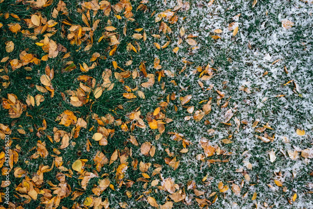 Transition from fall to winter Stock Photo | Adobe Stock