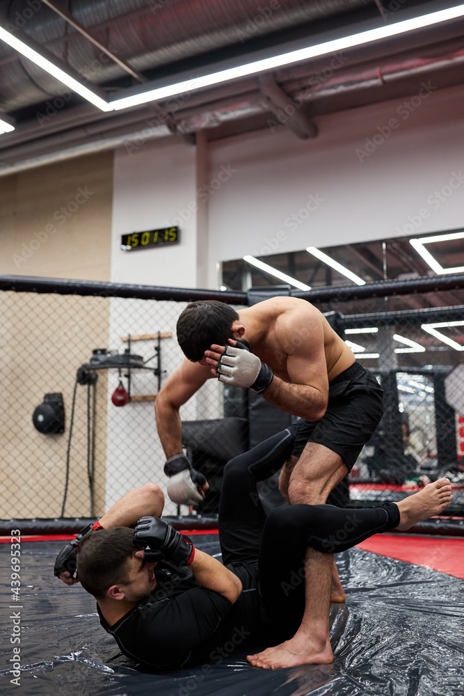 two men wrestlers of grappling makes submission wrestling. Practice ...
