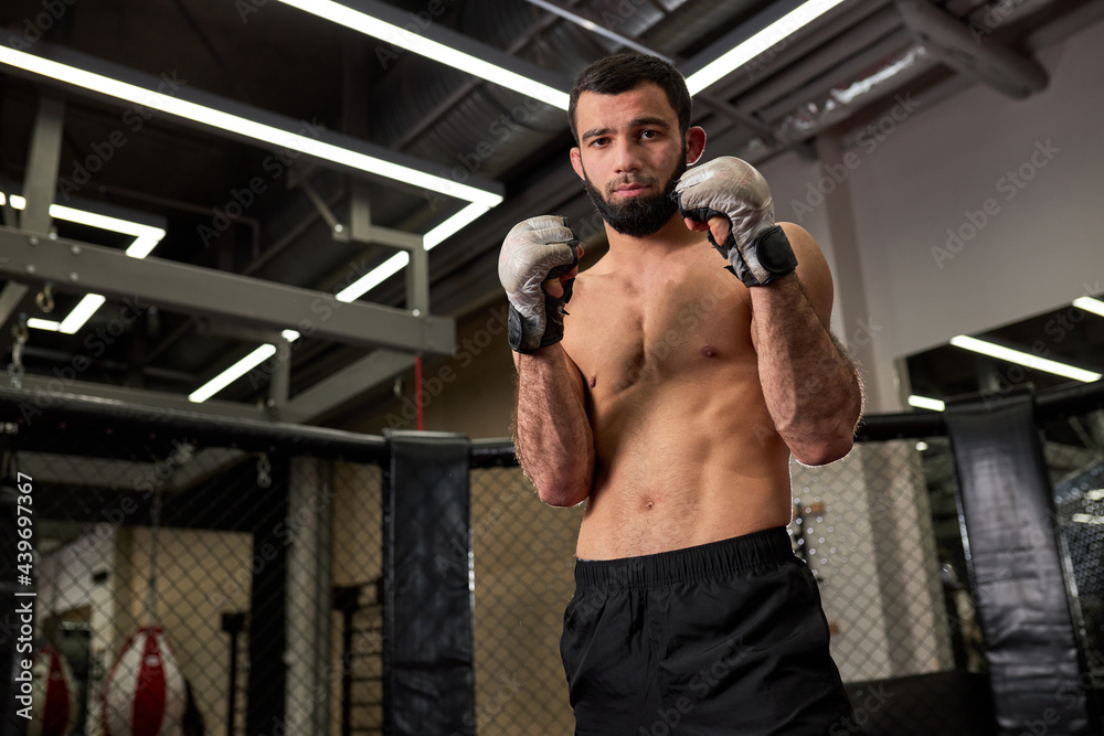 Shirtless confident adult male boxer stand in pose, performs exercises ...