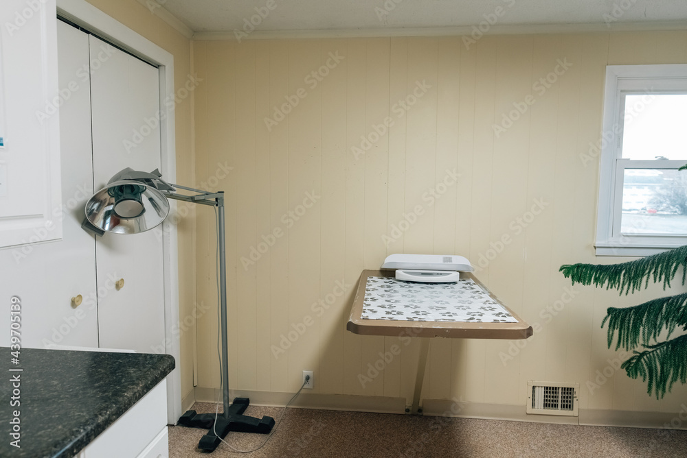 Inside of a veterinarian office. Stock Photo | Adobe Stock