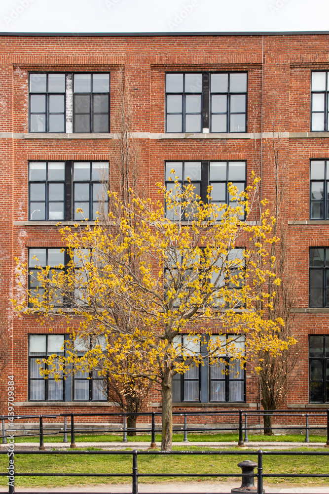 Gros plan sur une construction en brique rouge dans l'ancienne partie d ...