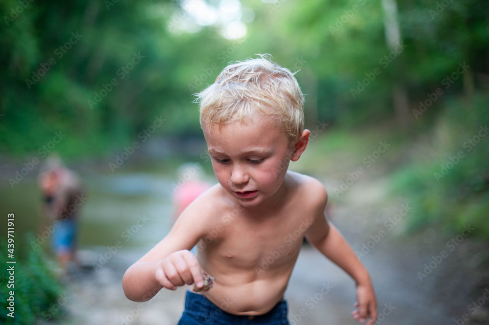 Little Boy Looking at Something in Nature Stock Photo | Adobe Stock