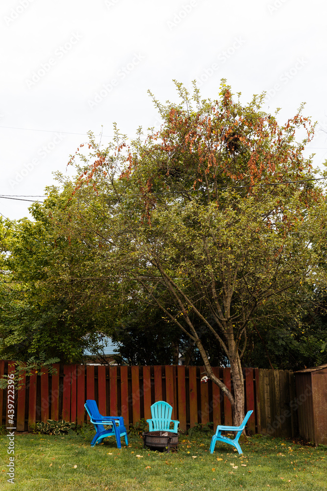 Three blue and teal chairs sit under a tree in a grassy backyard Stock ...