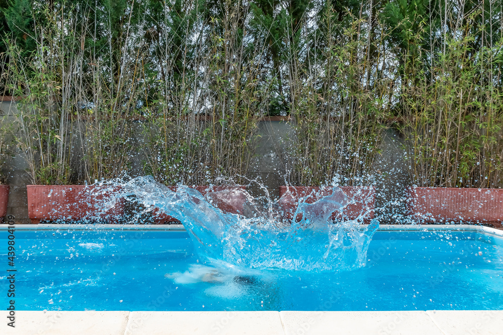 A huge splash of water is created by the cannonball dive into a ...