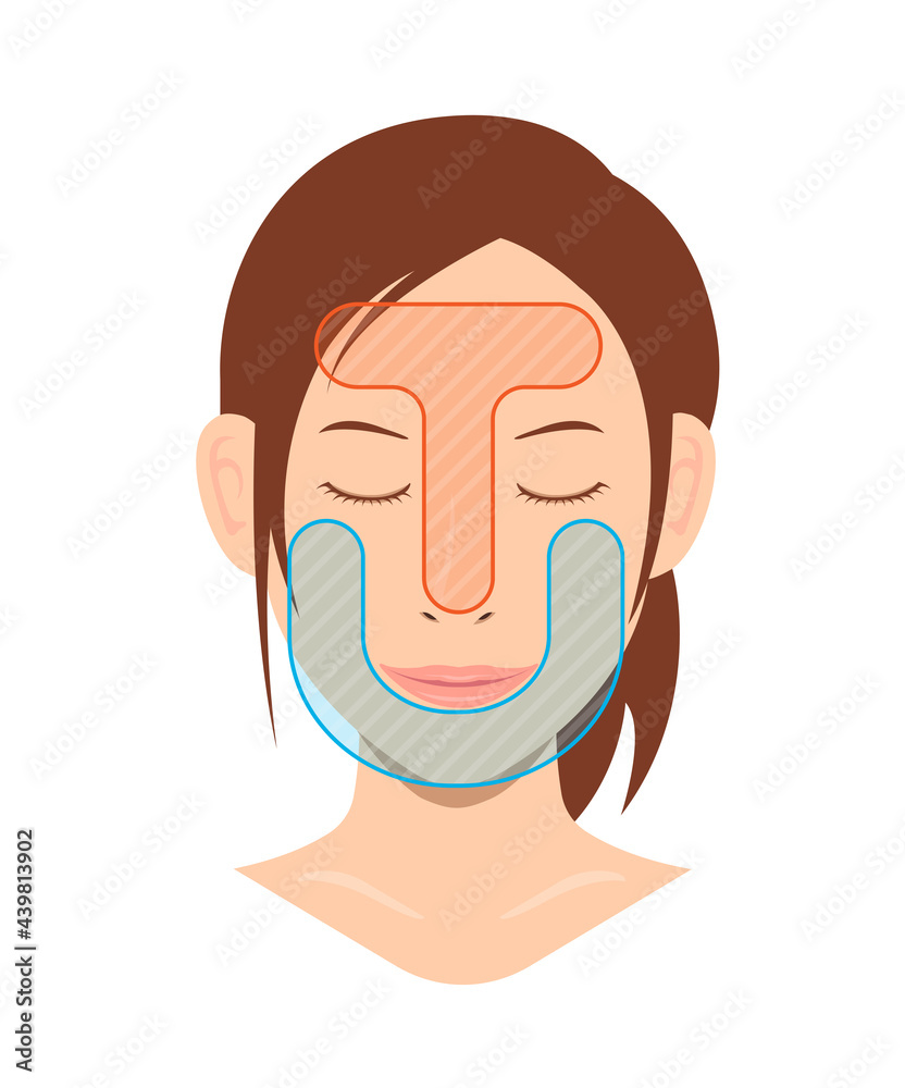 Vector illustration of T-zone and U-zone of female face. Stock Vector ...