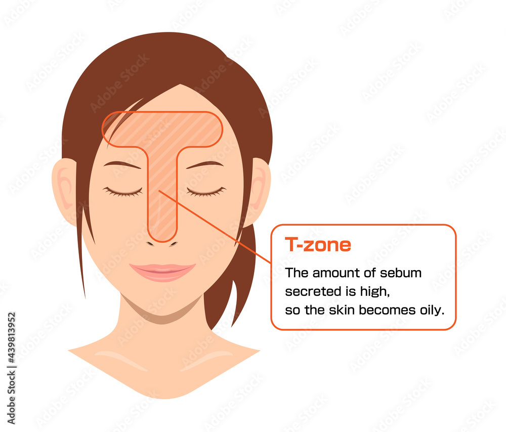 Vector illustration of T-zone of female face. Stock Vector | Adobe Stock