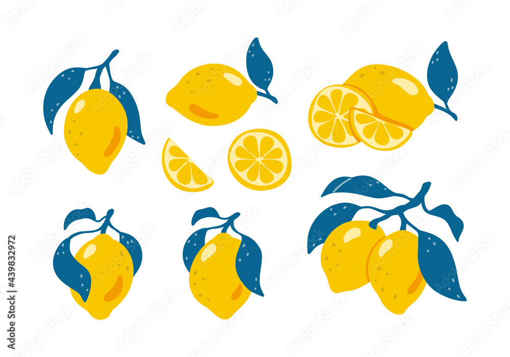Lemon hand drawn elements set. Color vector illustration of fresh ...