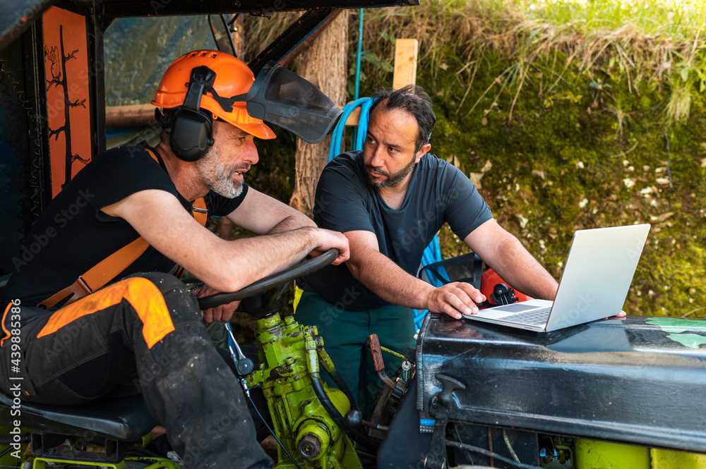 Serious lumberjacks using laptop together at sawmill Stock Photo ...