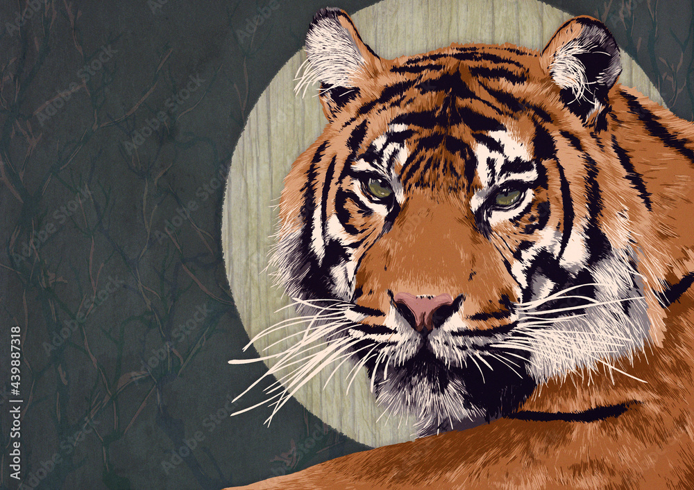 Tiger Stock Photo | Adobe Stock