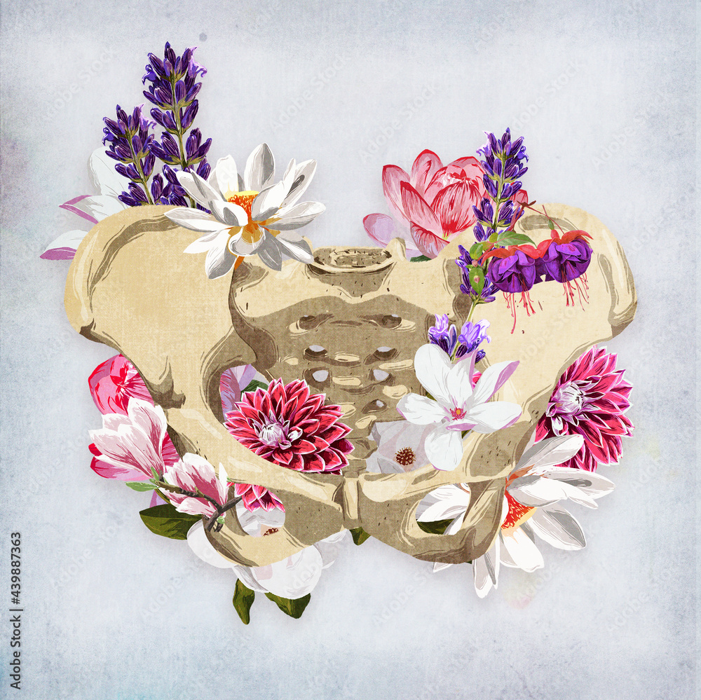 Floral Pelvis Stock Photo | Adobe Stock