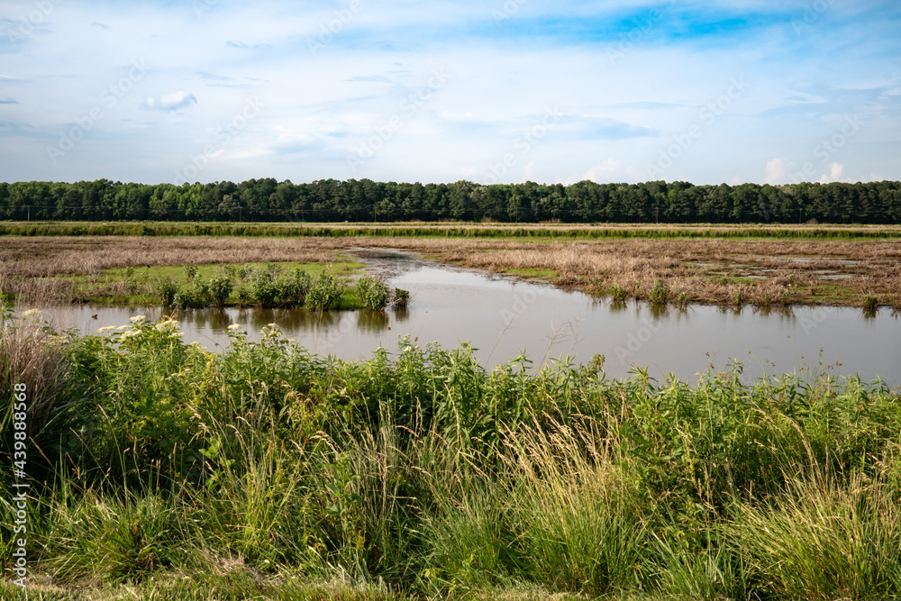 An interconnecting network of fresh water rivers and streams criss ...
