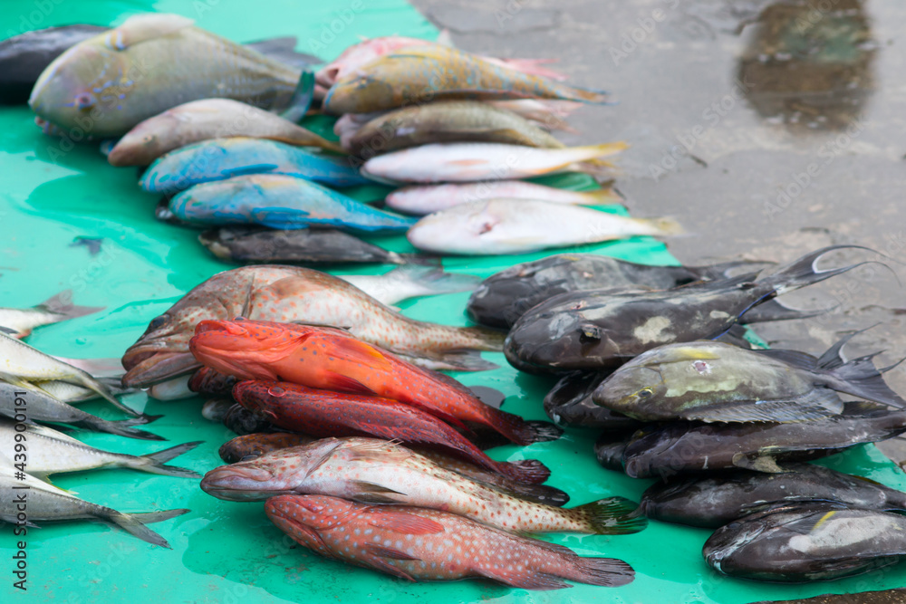 Various types of seafood are sold in the traditional fish market Stock ...