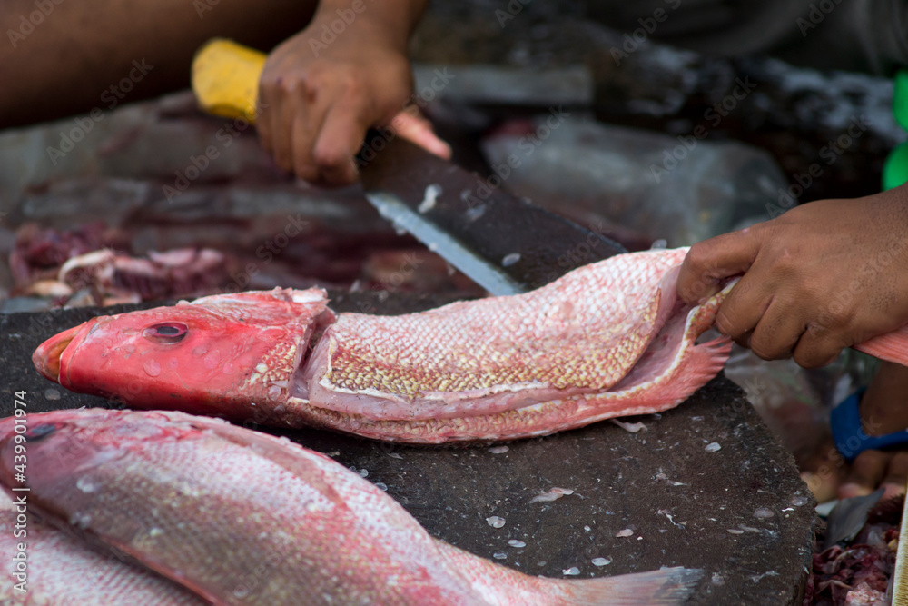 Various types of seafood are sold in the traditional fish market Stock ...