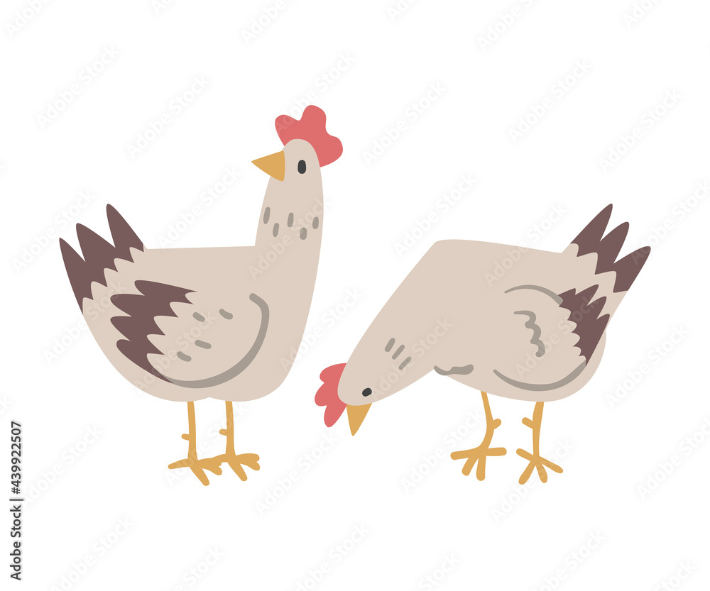 Hens Farm Bird, Poultry Breeding Concept Cartoon Vector Illustration ...