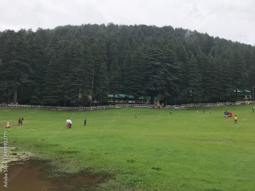 Fotografia do Stock: A picture of the scenic beauty of Khajjiar, a ...
