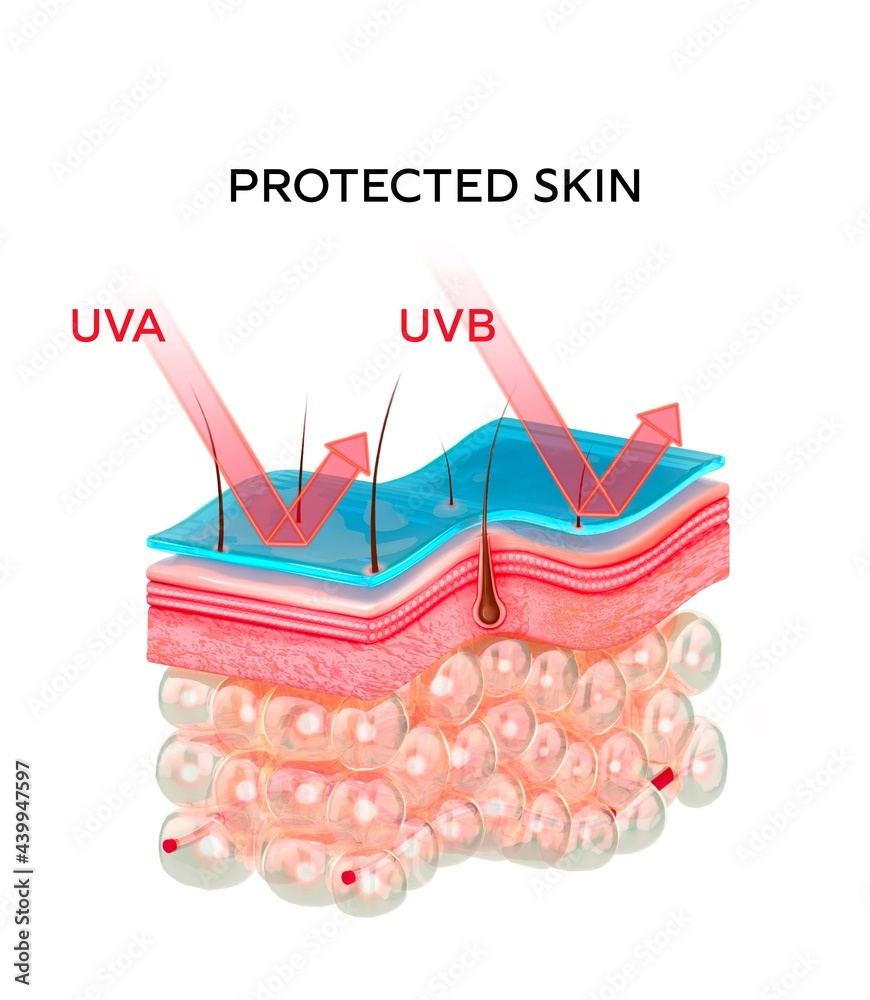 Protect the skin from UV radiation with a cream. Reflection of the sun ...