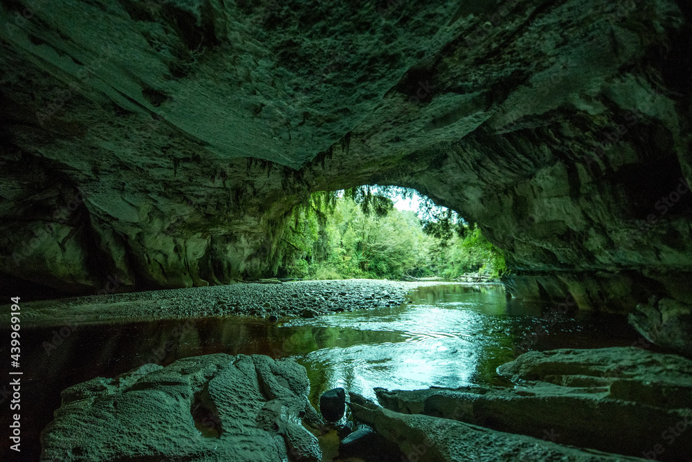 Foto de Oparara Basin - Moria Gate Arch, Kahurangi National Park, West ...