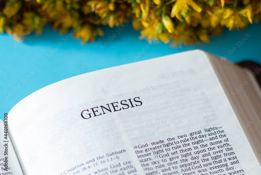 Book Of Genesis Bible