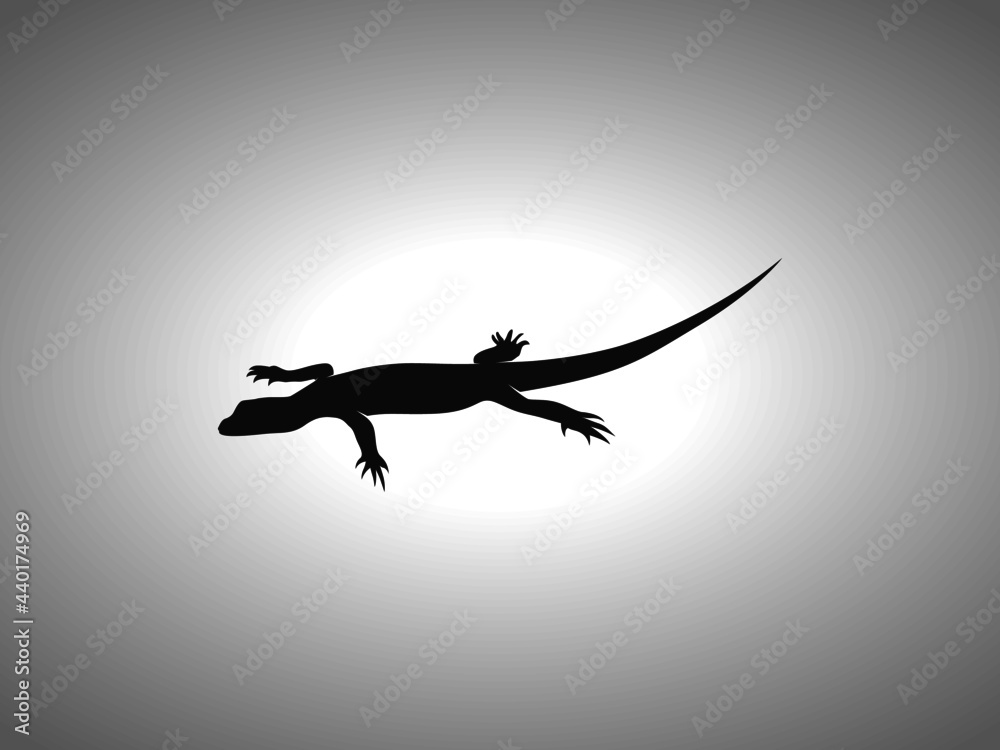 Monitor Lizard Silhouette. Isolated Vector Swordfish Animal Template ...