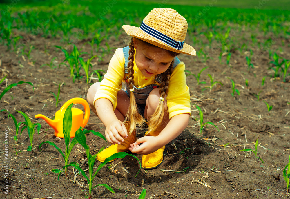 child planting a flower, a man plants in a field, child, garden, woman ...