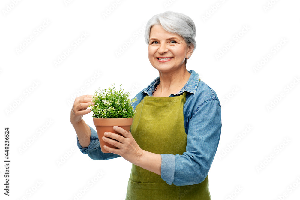 People Gardening White Background