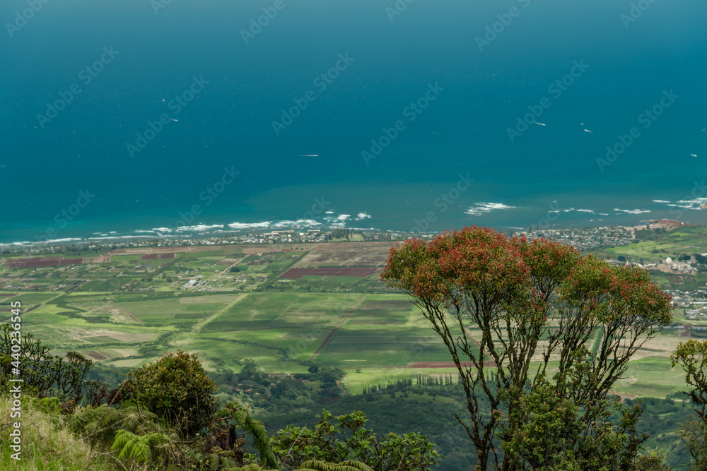 Kaʻala or Mount Kaʻala is the highest mountain on the island of Oahu ...