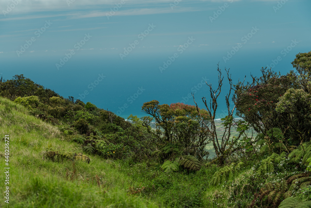Foto de Kaʻala or Mount Kaʻala is the highest mountain on the island of ...