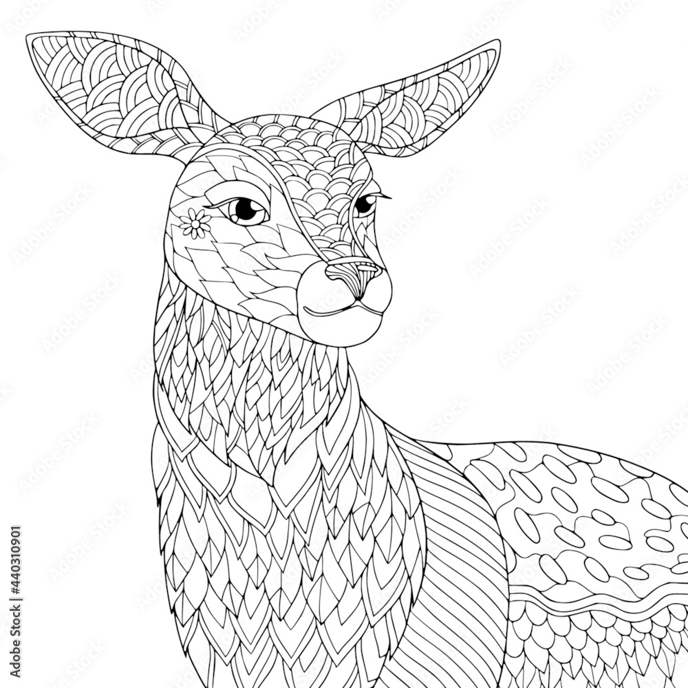Fallow-deer elegant portrait. Coloring book page for adult with doodle ...