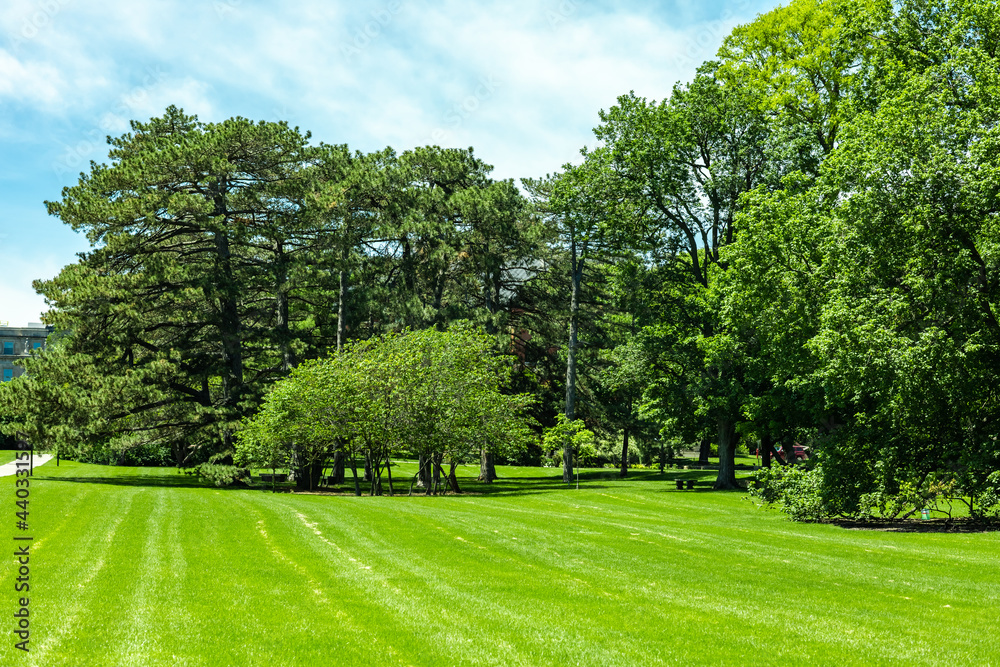 Scenic of green landscape, public outdoor park for leisure and picnic. Beautiful greenery ...