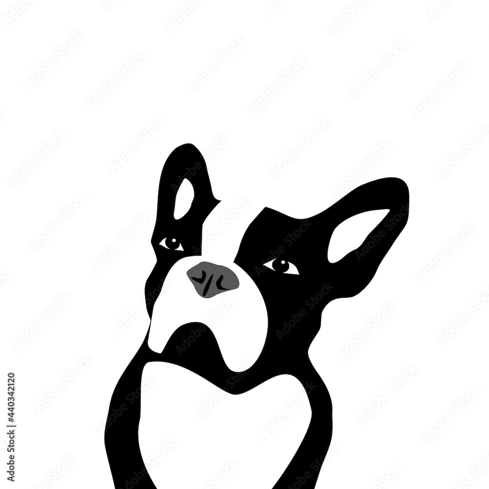 Cute thoughtful black and white French Bulldog illustration. Frenchie ...