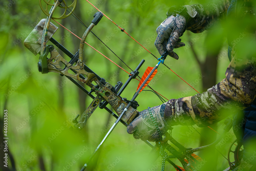 professional archer shooting with modern longbow in forest Stock Photo ...